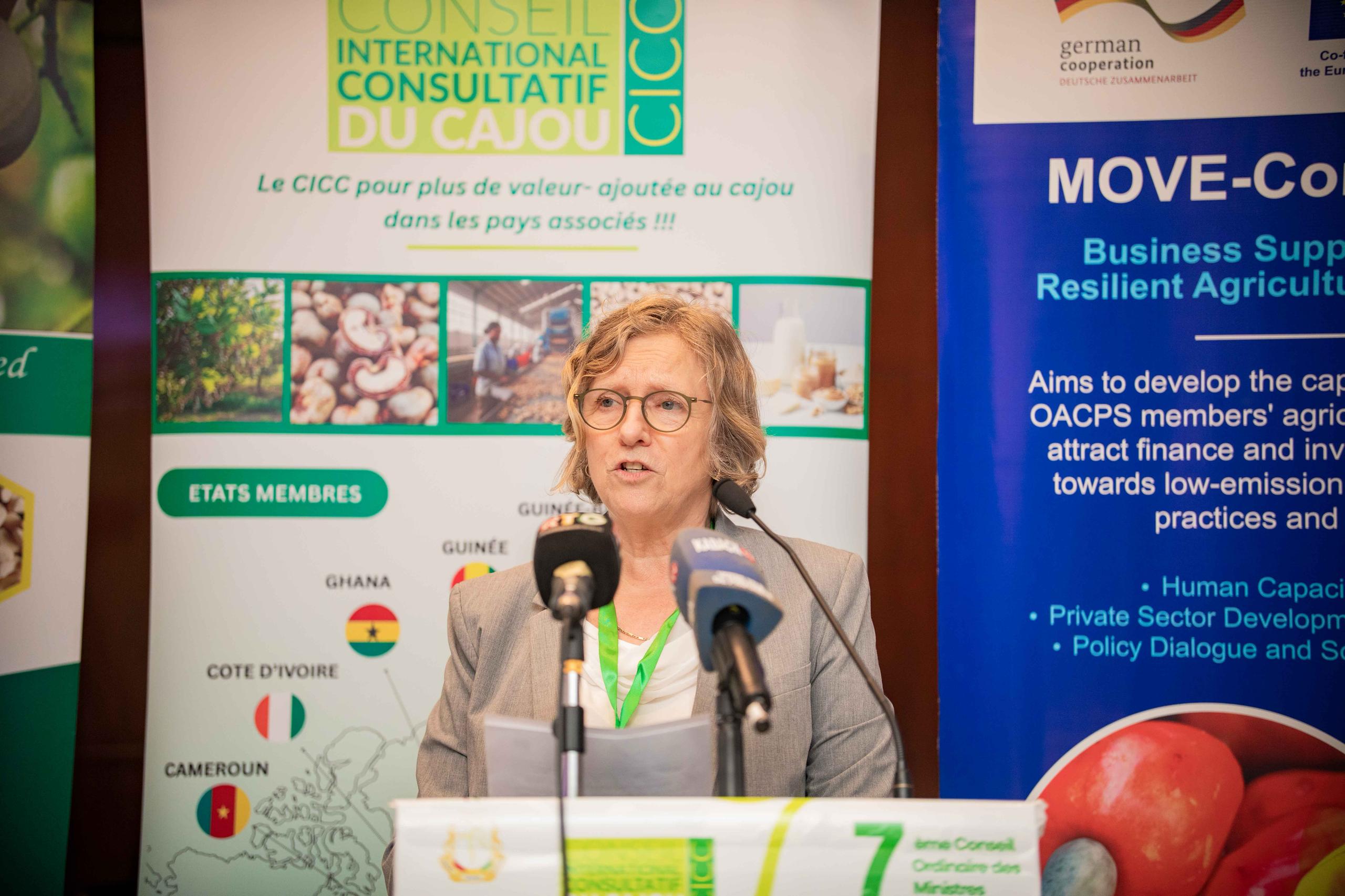 A Roadmap for a Resilient Cashew Sector: GIZ/MOVE-ComCashew at the 7th CICC Session in Guinea ...